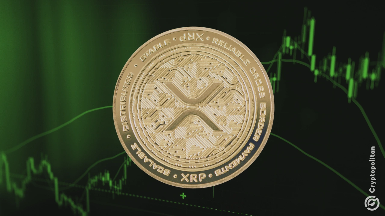 XRP sees 620% address surge after Trump boost | CryptosHeadlines on ...